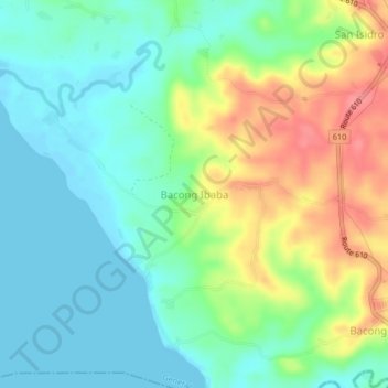 Bacong Ibabaの地形図、標高、地勢
